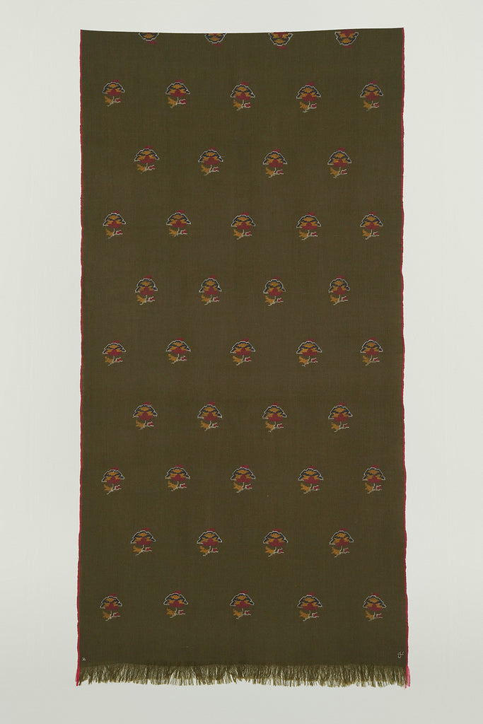 Heritage Kashmir Shawls for Men and Women | Kashmir Loom